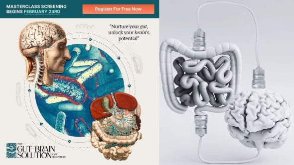 Reverse Brain Disorders Summit | HealthGlade