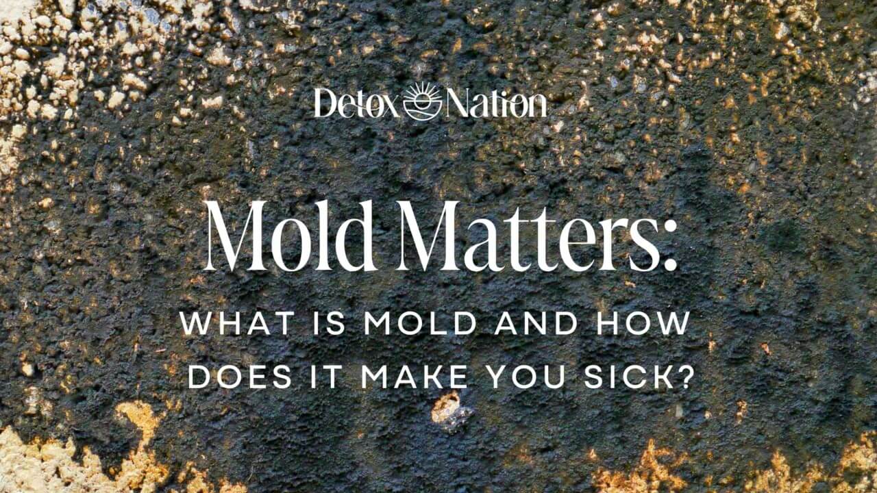 Recover: The Missing Factors for Mold Detox | HealthGlade