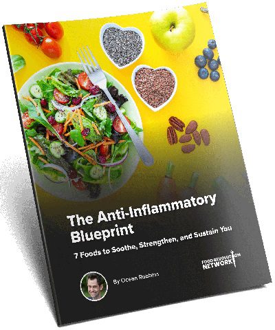 2026 Food Revolution Summit | HealthGlade